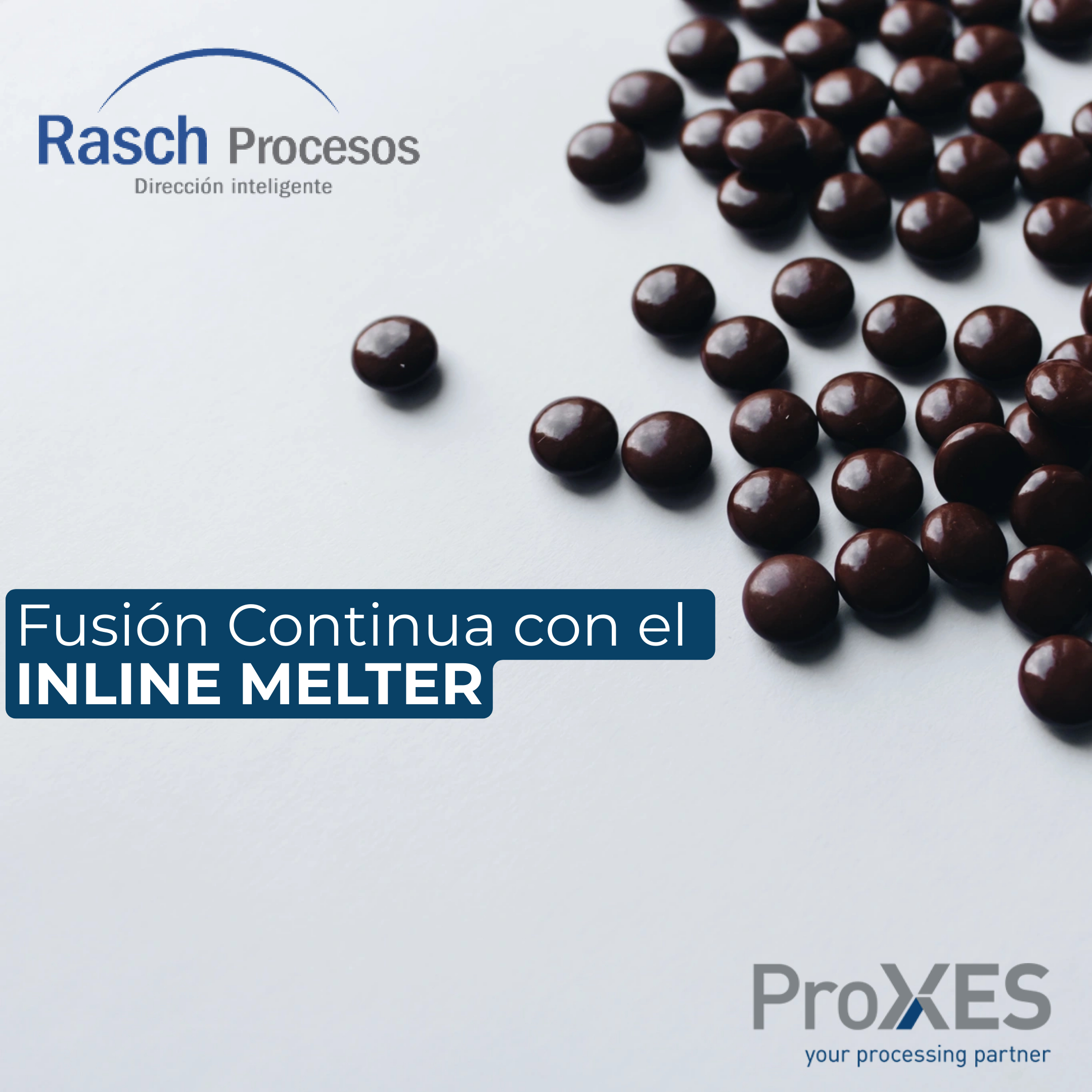 Tecnología de Fusión Continua con el INLINE MELTER - Rasch Procesos