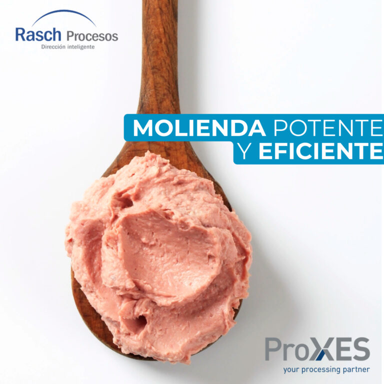 Molino de Disco Perforado para Molienda Potente - Rasch Procesos