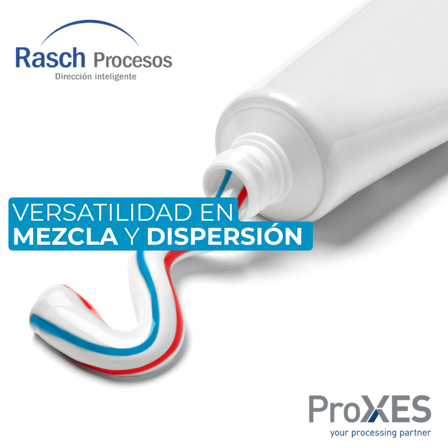 Tecnología VME de mezcla y dispersión universal - Rasch Procesos