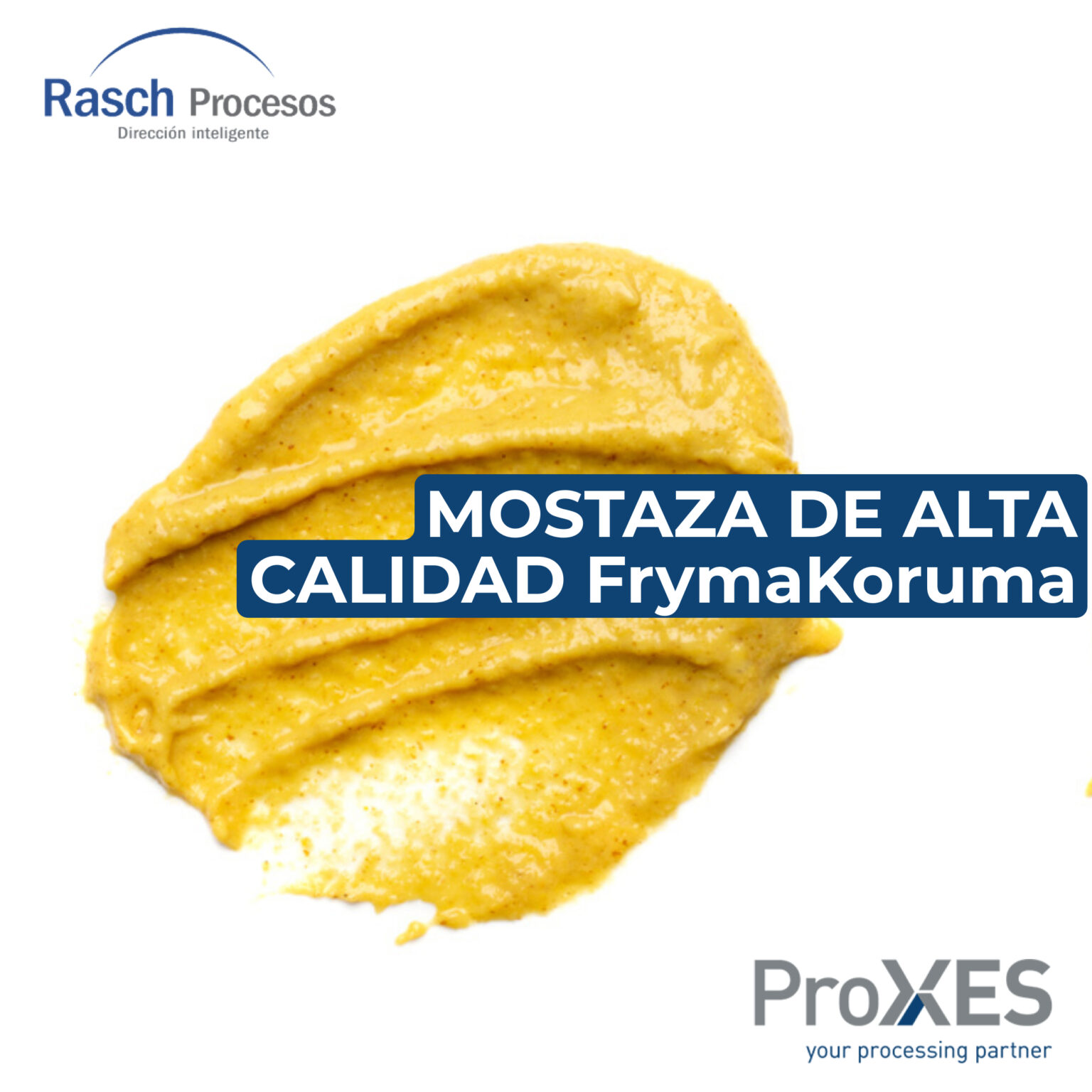 Cómo Producir Mostaza con la Línea de Producción de FrymaKoruma ...