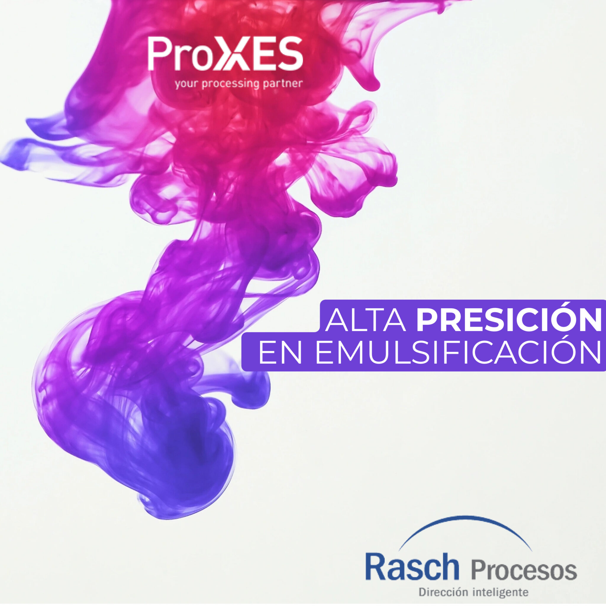 Sistemas avanzados para la emulsificación y dispersión precisa - Rasch Procesos
